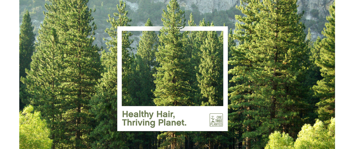 Get Gifting With GREEN.NOVEMBER