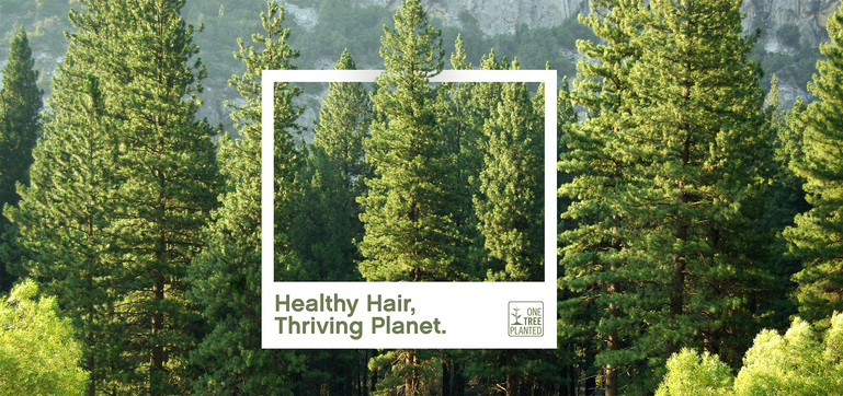 Get Gifting With GREEN.NOVEMBER